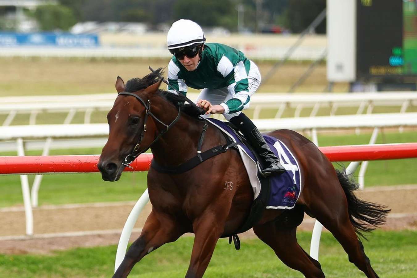 Peter Snowden eyes Brisbane carnival with $1.4m colt Media World after ...