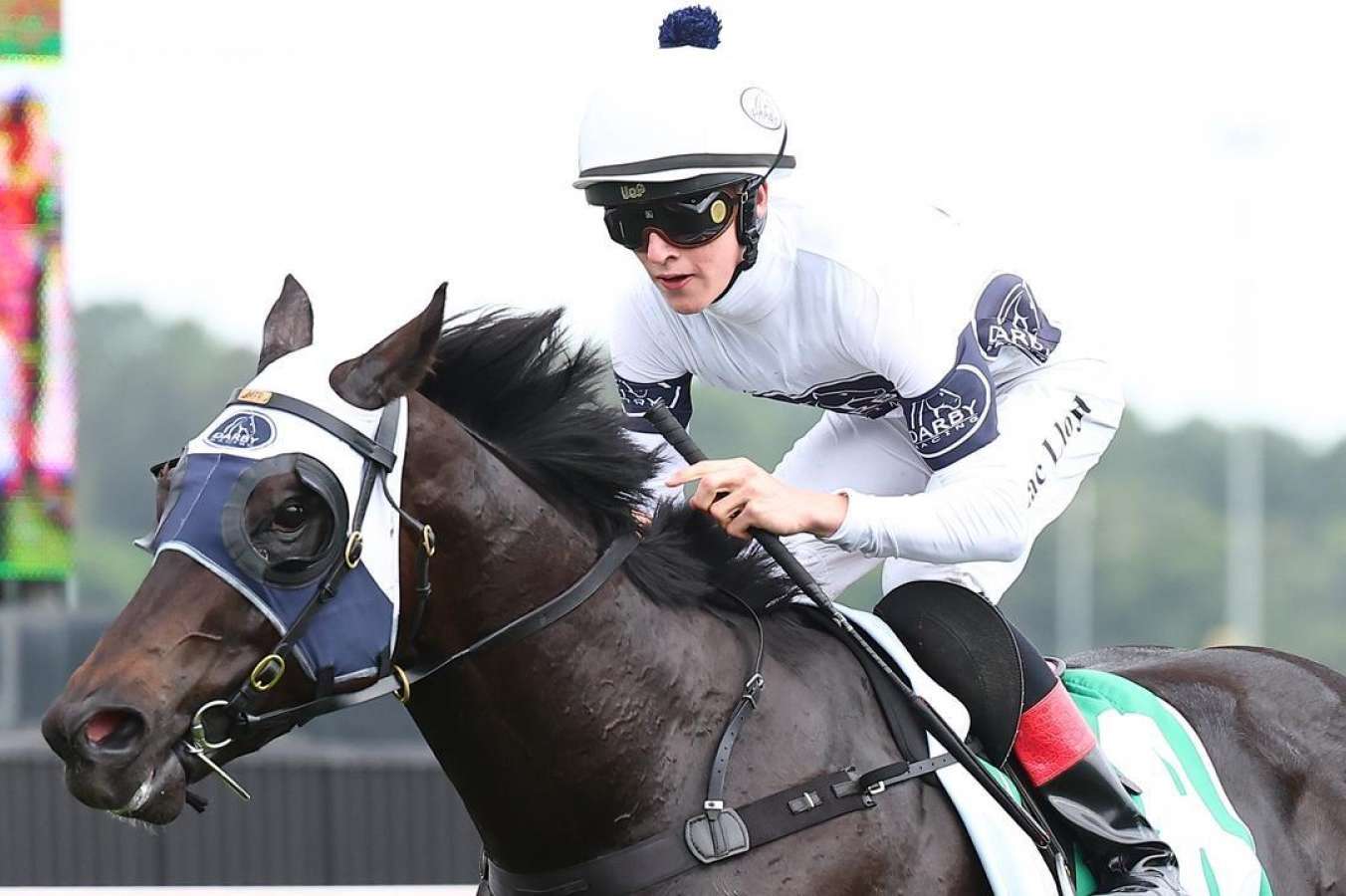 Insurrection gives Zac Lloyd a second win The Warra at Kembla