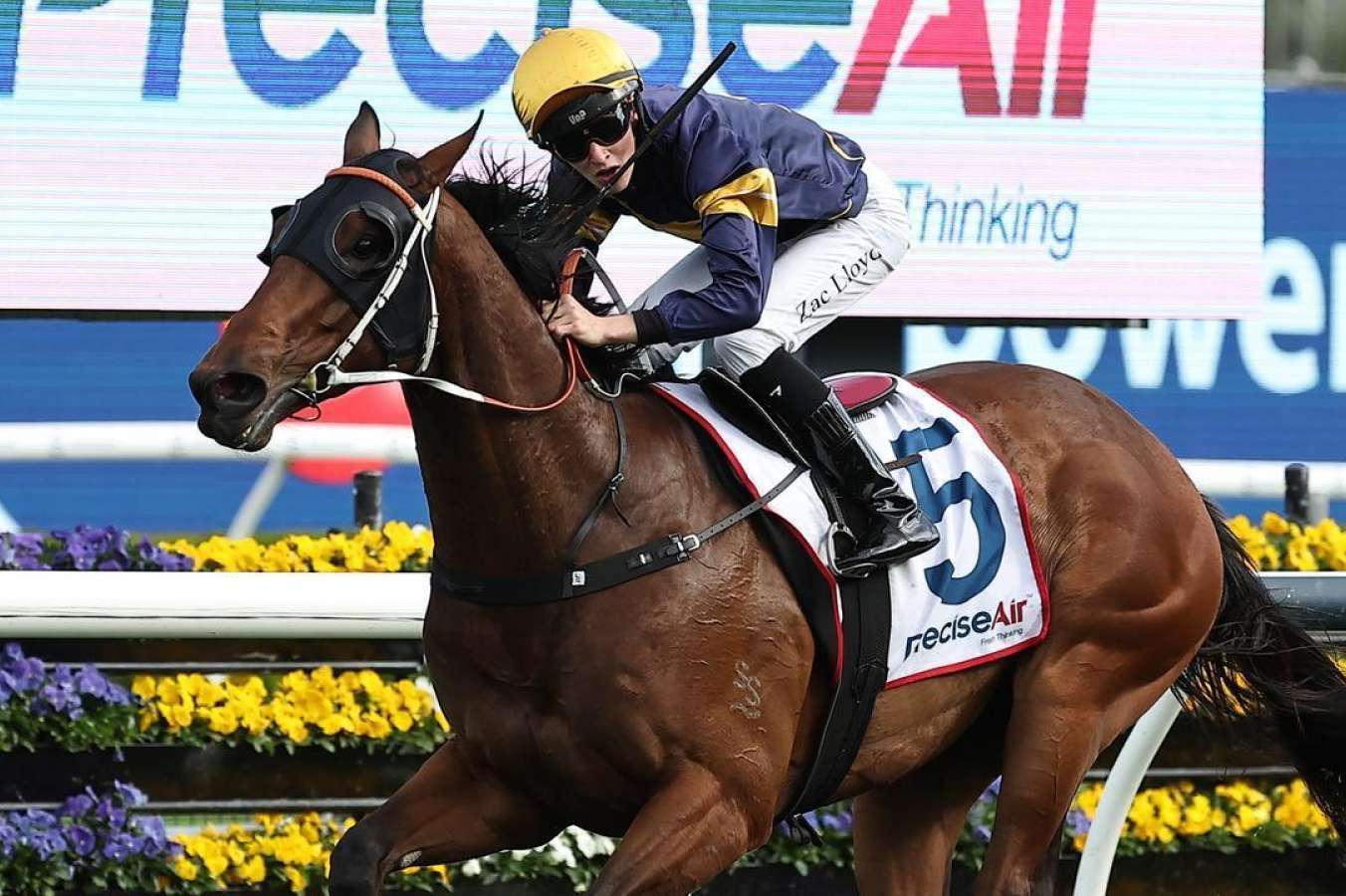 2024 Premiere Stakes: Airman wins in major boilover