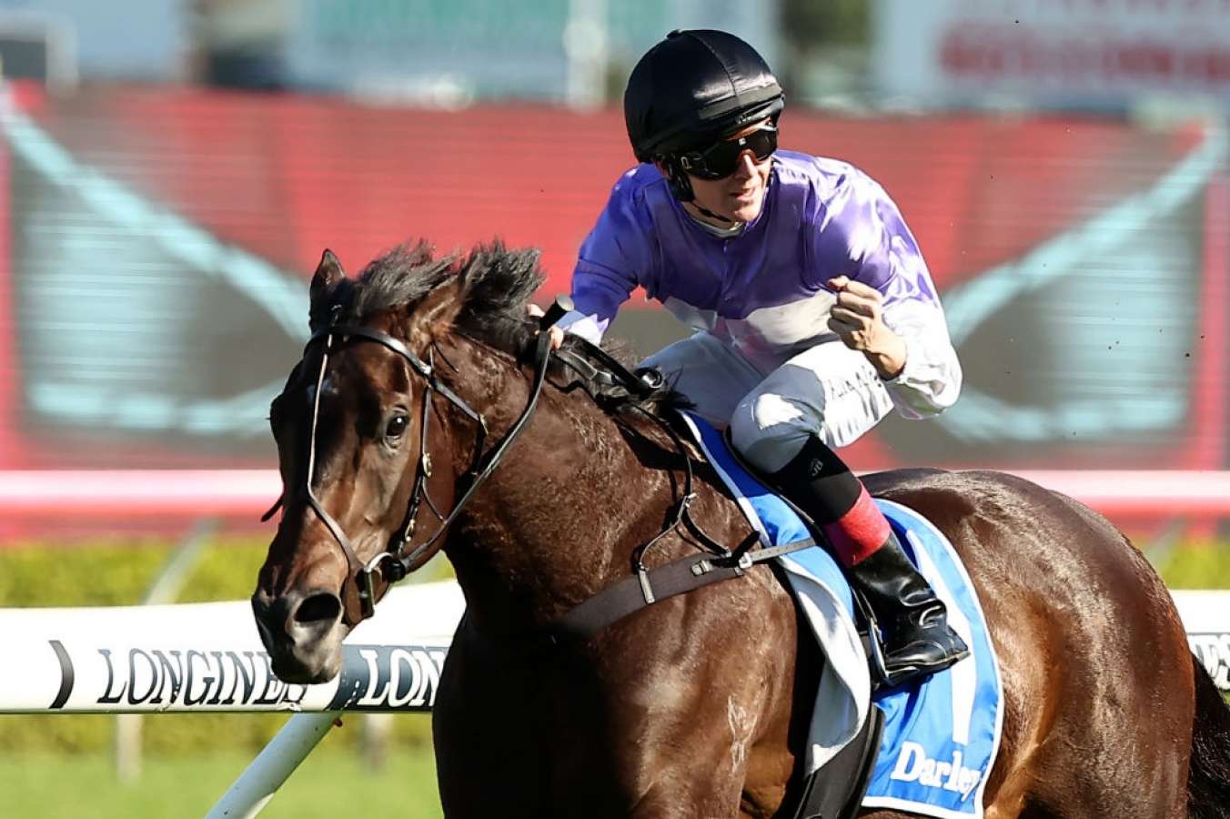 Zac Lloyd keeps the faith in Group 1 quest