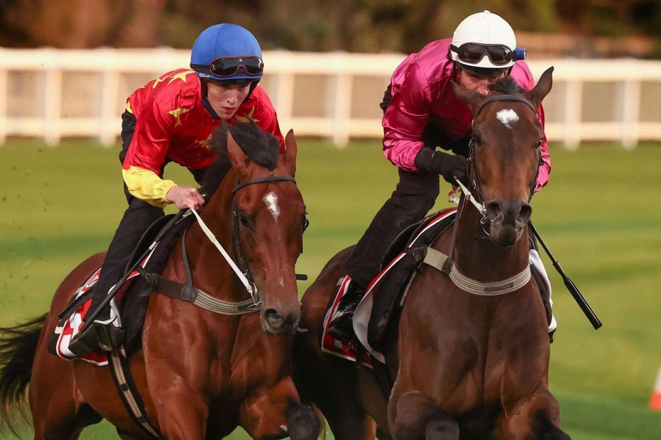 Waller disguises Cox Plate jockey booking in plain sight