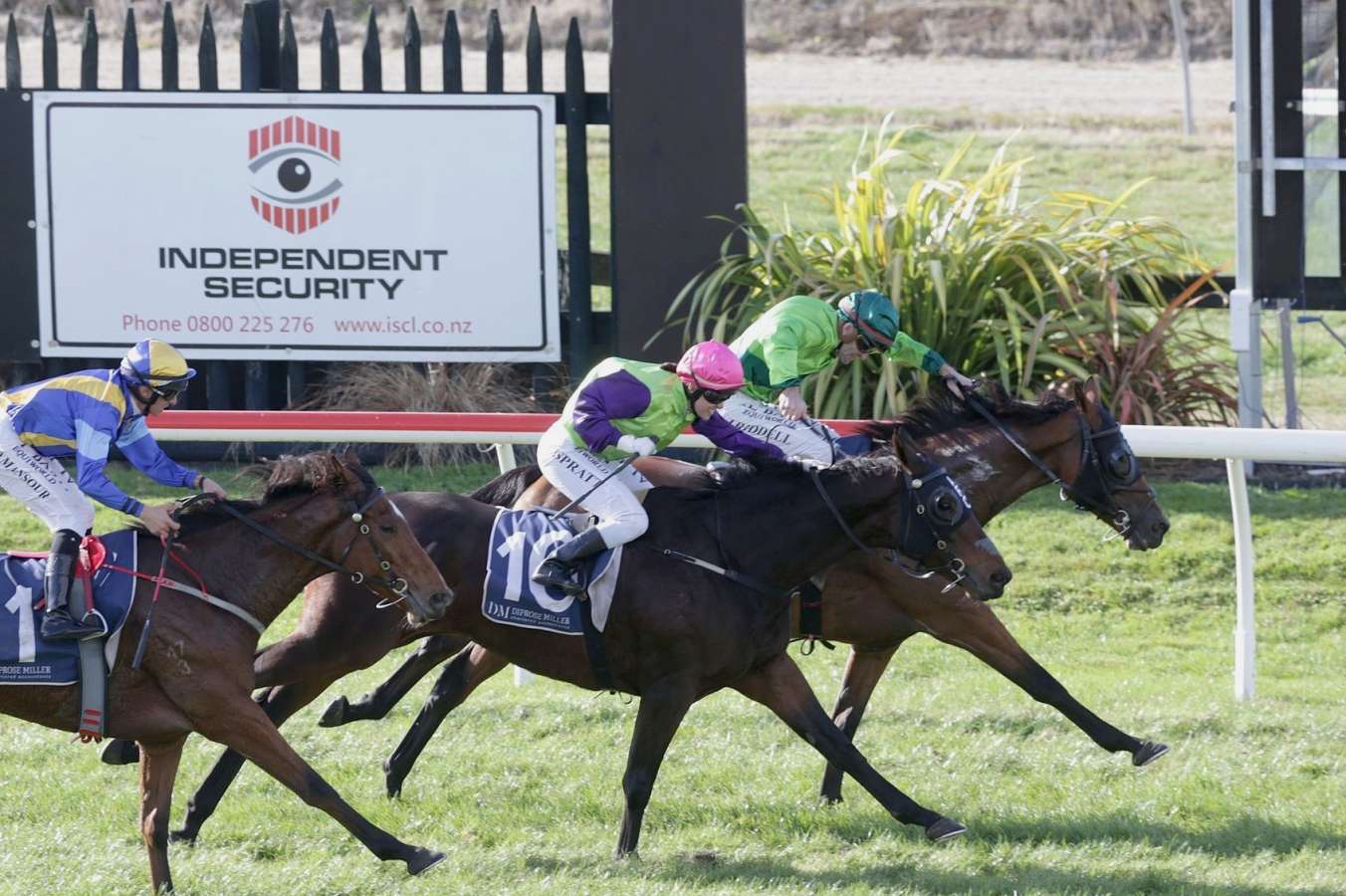 Zacada back to best in NZ Group Three win