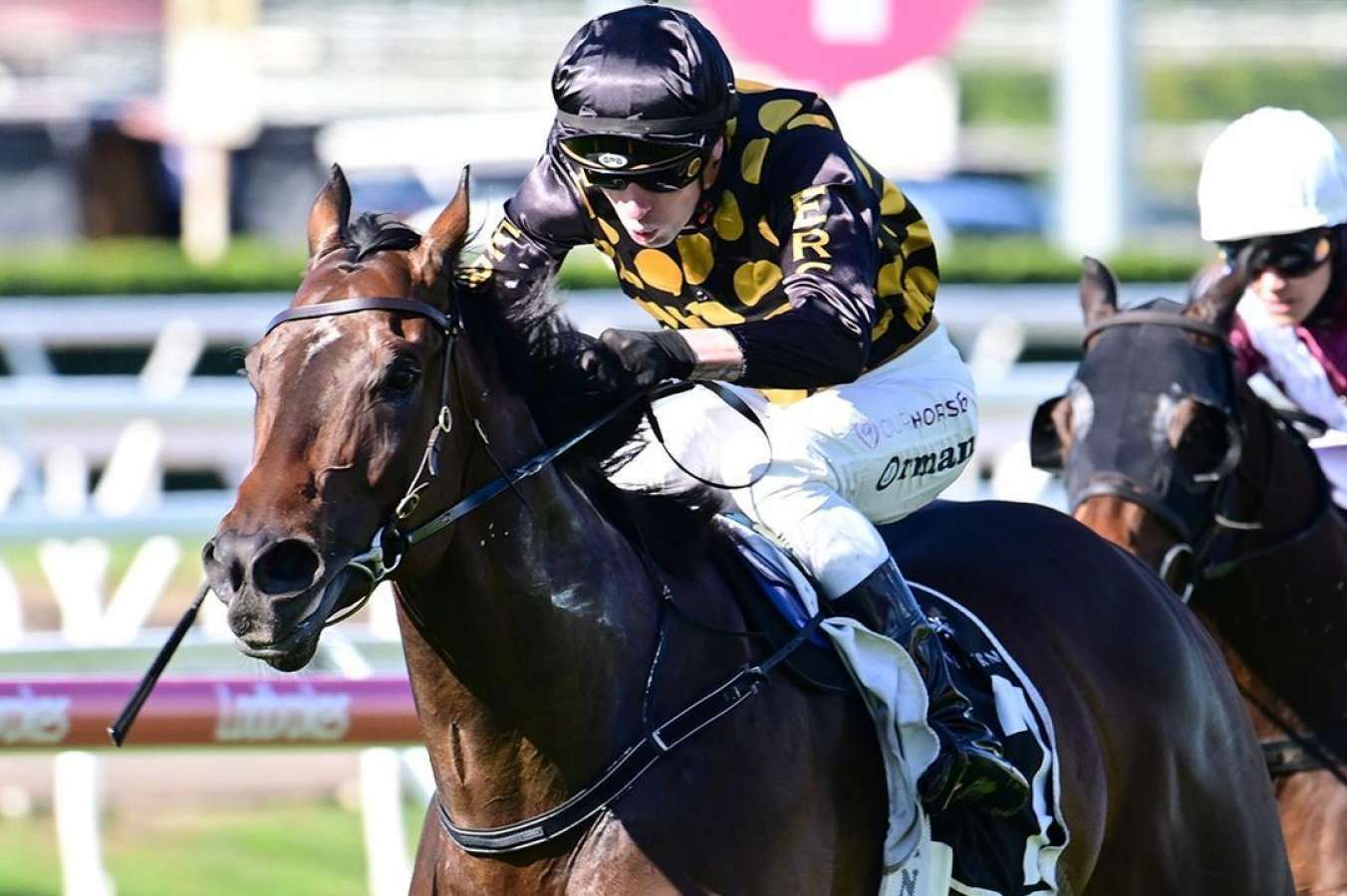 Eagle Farm horse racing tips: Saturday, December 23