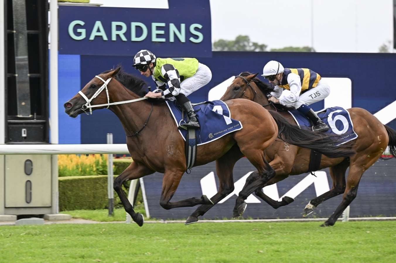 Zougotcha ready to defy history in Coolmore Classic