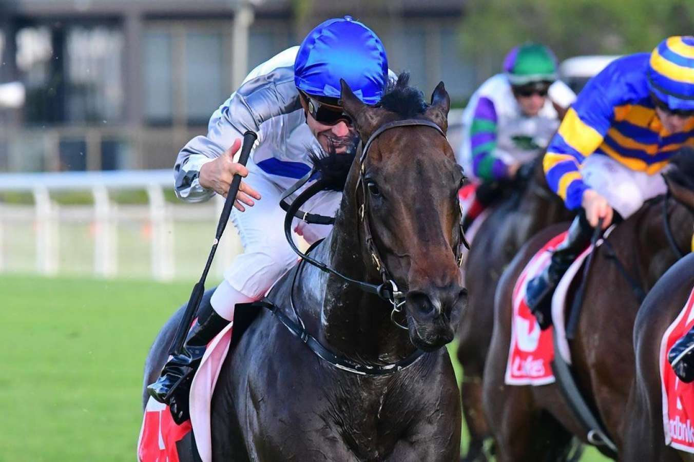 Doomben preview and tips: Saturday, December 30