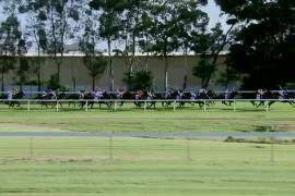 Starman | Horse Profile, Form Guide & Latest Odds