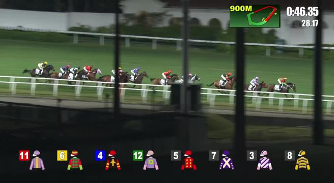 Hong Kong Horse Racing (News, Tips & Results) - Racenet