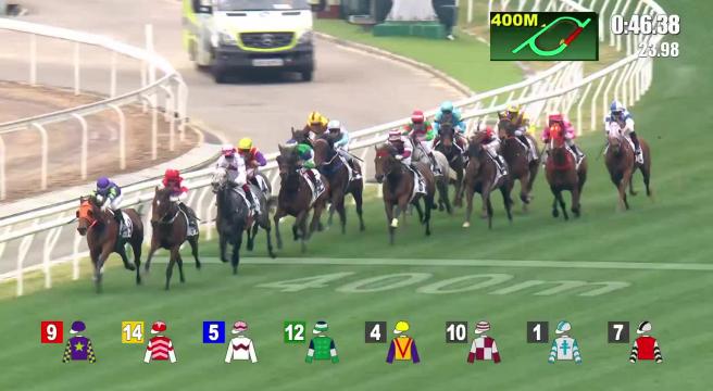 Hong Kong Horse Racing (News, Tips & Results) - Racenet