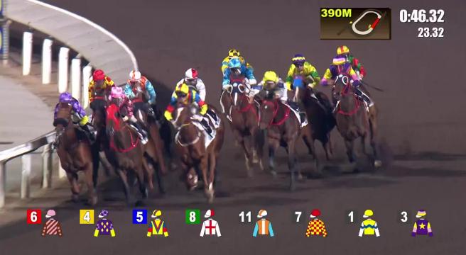 Hong Kong Horse Racing (News, Tips & Results) - Racenet