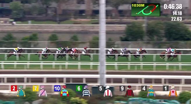 Hong Kong Horse Racing (News, Tips & Results) - Racenet