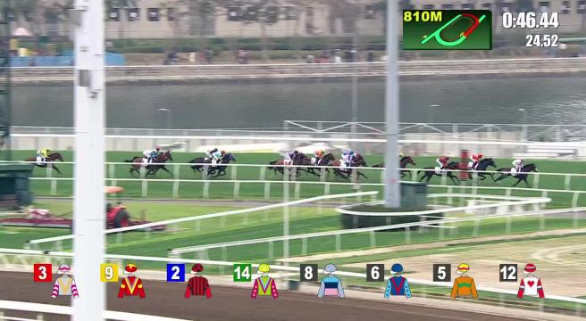 Hong Kong Horse Racing (News, Tips & Results) - Racenet