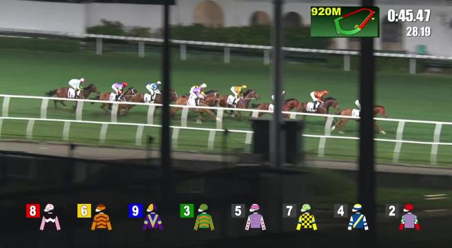Hong Kong Horse Racing (News, Tips & Results) - Racenet