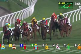 Ka Ying Rising | Horse Profile, Form Guide & Latest Odds