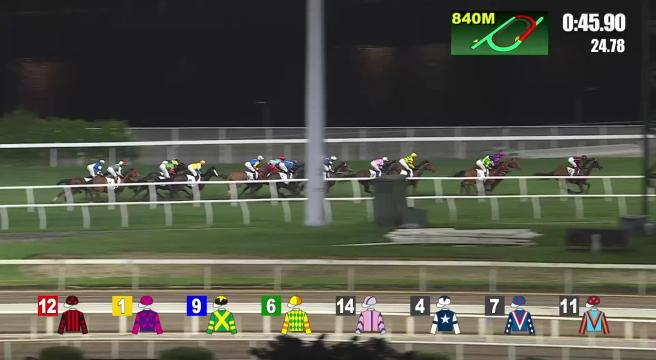 Hong Kong Horse Racing (News, Tips & Results) - Racenet