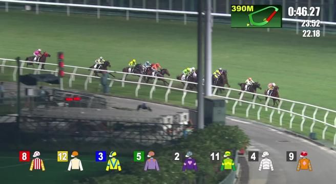 Hong Kong Horse Racing (News, Tips & Results) - Racenet