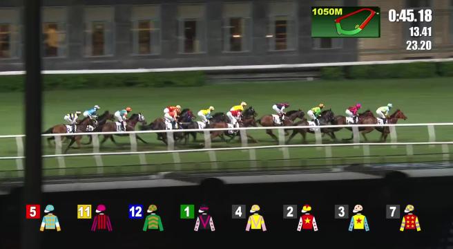 Hong Kong Horse Racing (News, Tips & Results) - Racenet